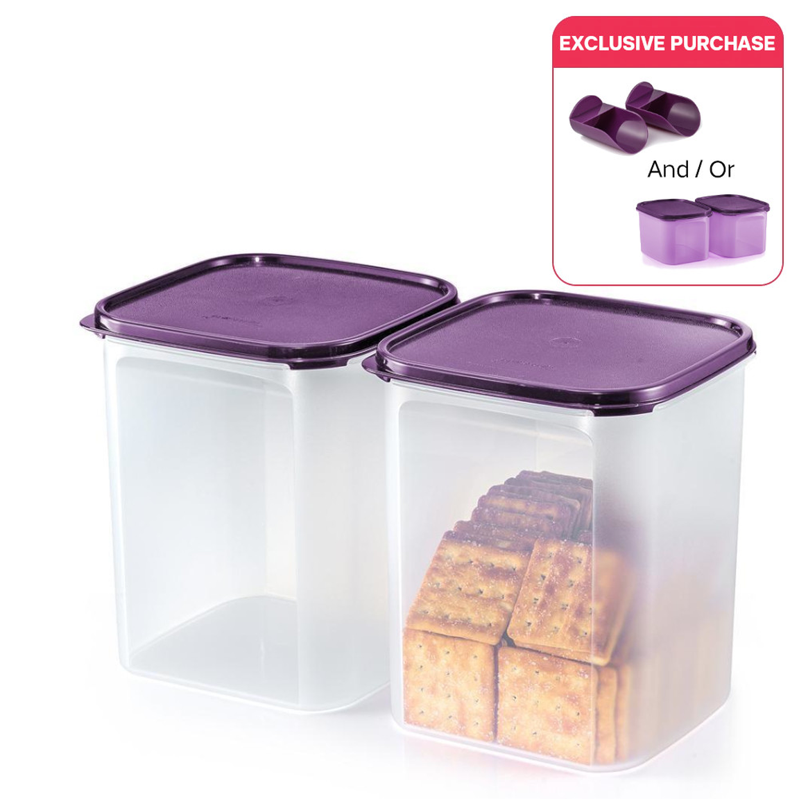 Modular Mates Square IV (2) 5.5L | Tupperware Plus