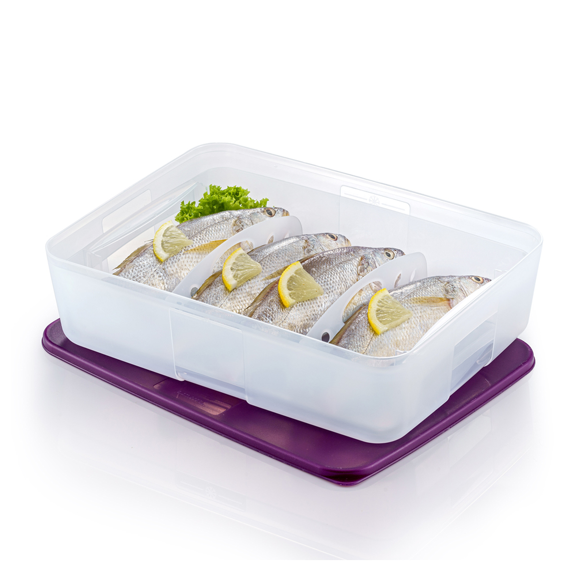 FreezerMate Large II (1) 3.1L with Tray | Tupperware Plus