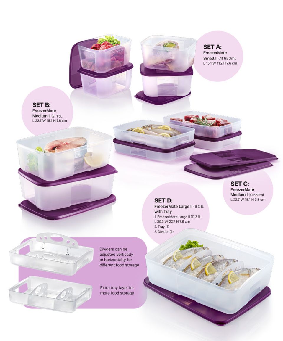 FreezerMate Small II (4) 650ml | Tupperware Plus