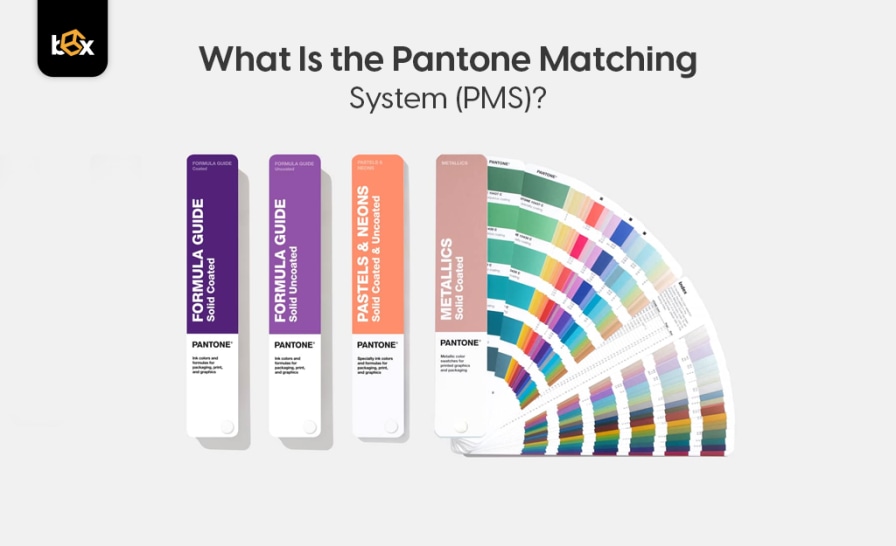 pantone 2446