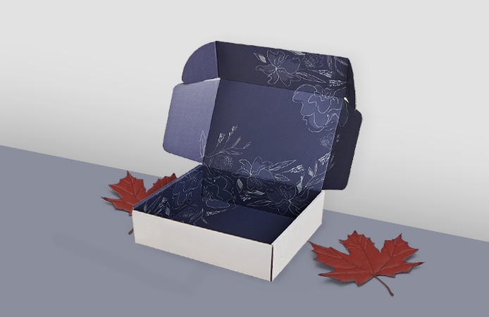 Top 8 Packaging Companies in Canada 2024 | Box Agency