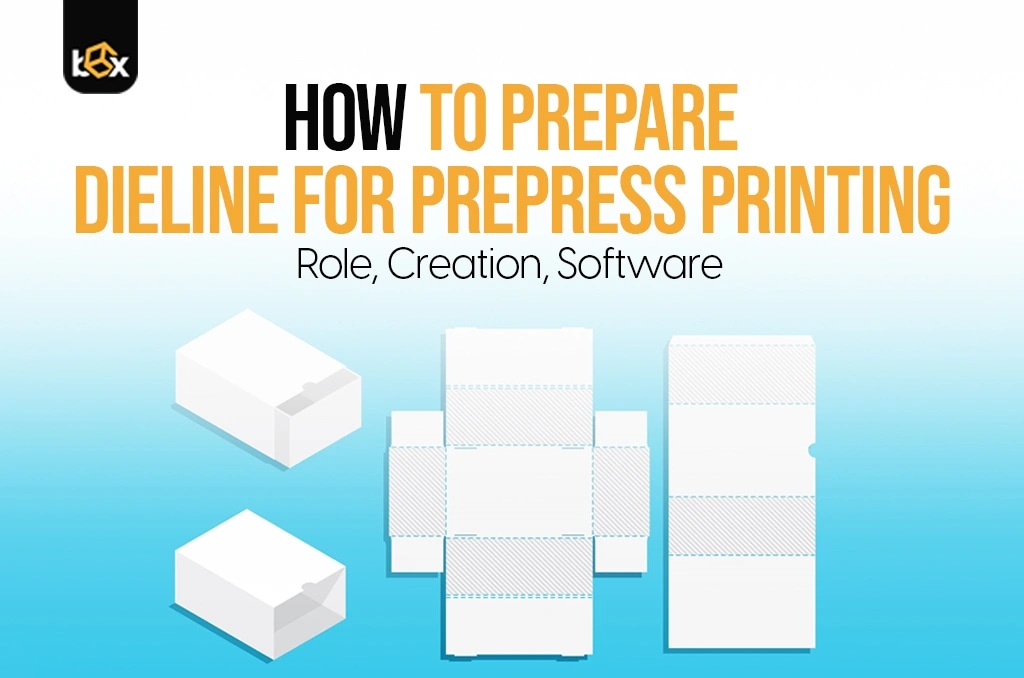 How to Prepare Dielines for Prepress Printing: Role, Creation, Software