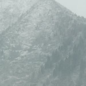 fall in line: Idiom Meaning and Origin - The Village Idiom