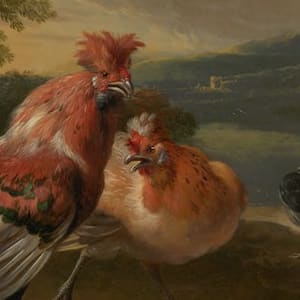 holy cow: Idiom Meaning and Origin - The Village Idiom