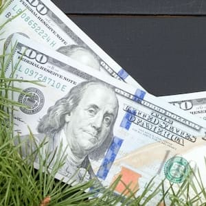 another day, another dollar: Idiom Meaning and Origin - The Village Idiom