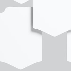 throw down the gauntlet: Idiom Meaning and Origin - The Village Idiom