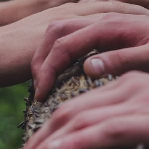 horizontal dancing: Idiom Meaning and Origin - The Village Idiom