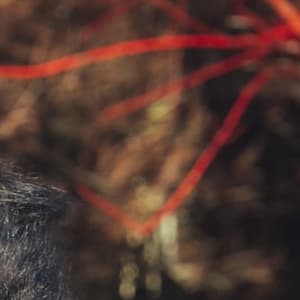 to boot: Idiom Meaning and Origin - The Village Idiom