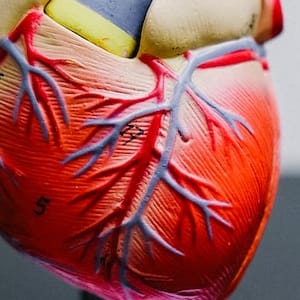 heart of gold: Idiom Meaning and Origin - The Village Idiom