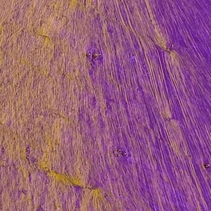 go over someone's head: Idiom Meaning and Origin - The Village Idiom