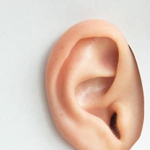 lend an ear: Idiom Meaning and Origin - The Village Idiom