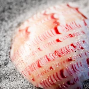 line in the sand: Idiom Meaning and Origin - The Village Idiom