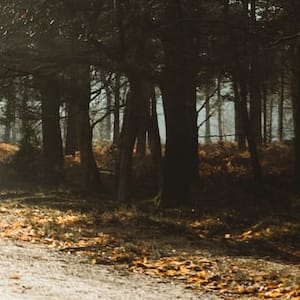 top of the morning: Idiom Meaning and Origin - The Village Idiom