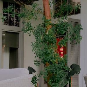 on edge: Idiom Meaning and Origin - The Village Idiom