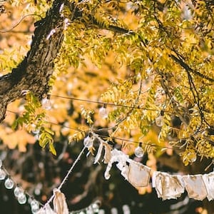 let's get the party started: Idiom Meaning and Origin - The Village Idiom