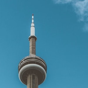 stand tall: Idiom Meaning and Origin - The Village Idiom