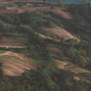 mince words: Idiom Meaning and Origin - The Village Idiom