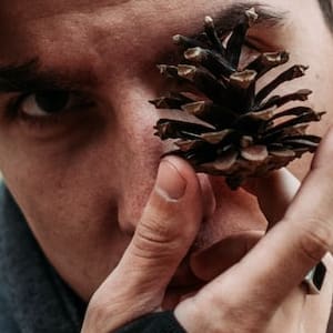 cause a stir: Idiom Meaning and Origin - The Village Idiom