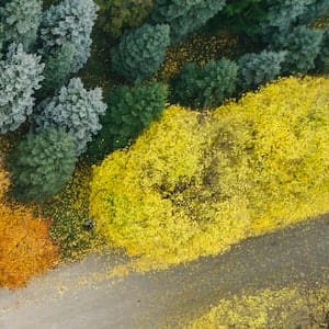 circle the wagons: Idiom Meaning and Origin - The Village Idiom