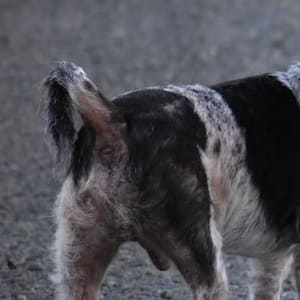 twinkling of an eye: Idiom Meaning and Origin - The Village Idiom