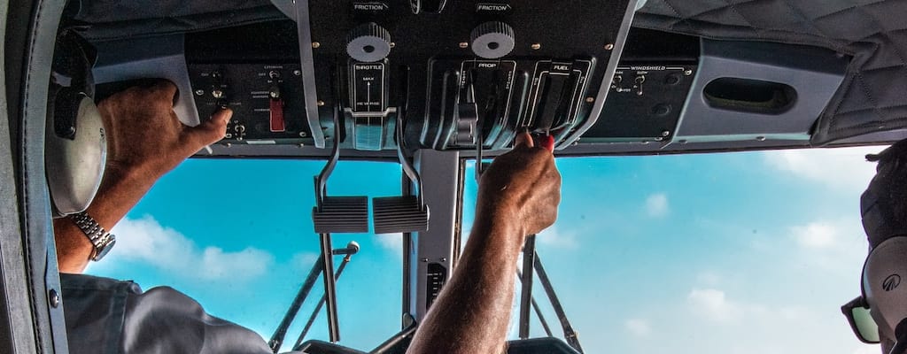 the king is dead, long live the king!: Idiom Meaning and Origin - The Village Idiom