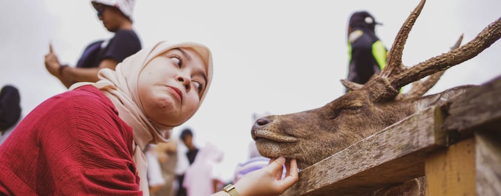 cheeky monkey: Idiom Meaning and Origin - The Village Idiom