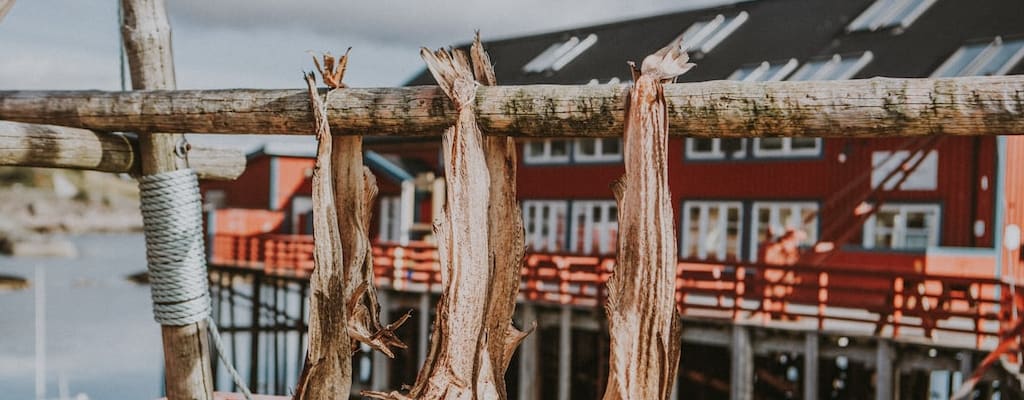 more often than not: Idiom Meaning and Origin - The Village Idiom