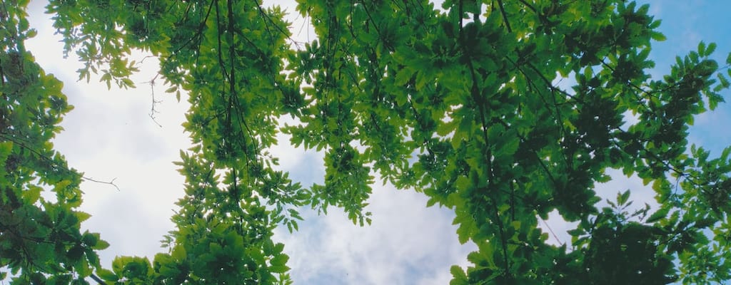 God's green earth: Idiom Meaning and Origin - The Village Idiom