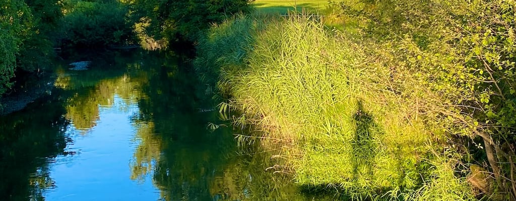 keep one's eyes peeled: Idiom Meaning and Origin - The Village Idiom
