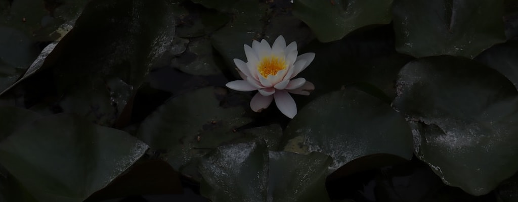 first port of call: Idiom Meaning and Origin - The Village Idiom