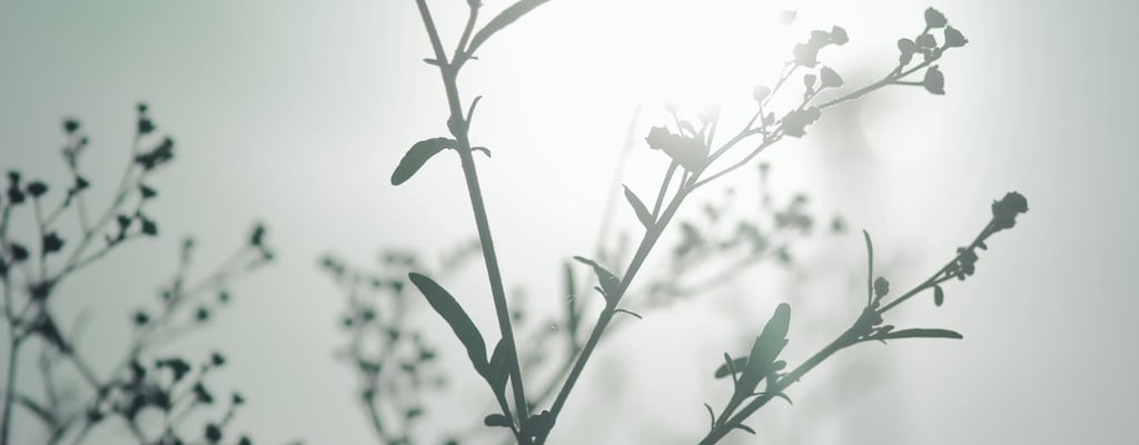 caught up: Idiom Meaning and Origin - The Village Idiom