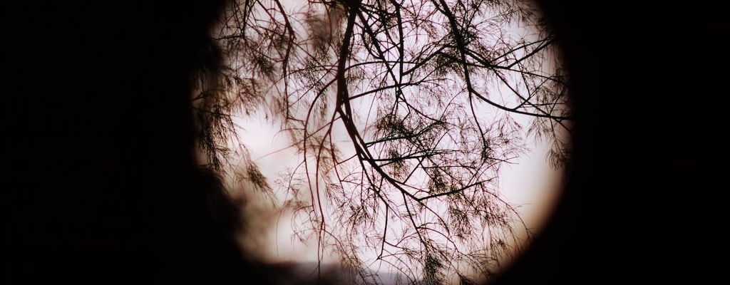 dig out of a hole: Idiom Meaning and Origin - The Village Idiom