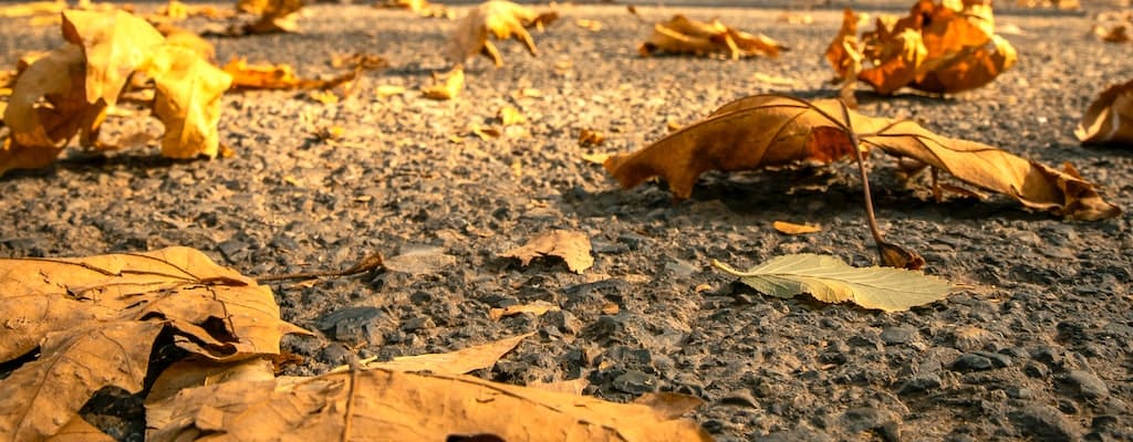 ear to the ground: Idiom Meaning and Origin - The Village Idiom