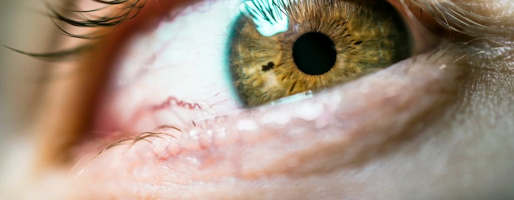 keep an eye out: Idiom Meaning and Origin - The Village Idiom