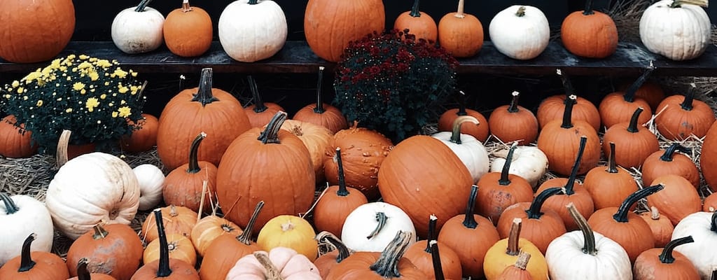 fall between the cracks: Idiom Meaning and Origin - The Village Idiom