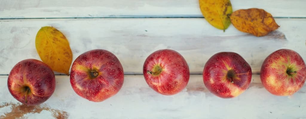 fall off the turnip truck: Idiom Meaning and Origin - The Village Idiom