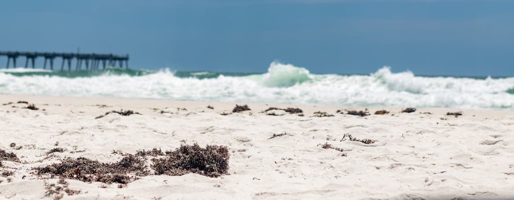 flog a dead horse: Idiom Meaning and Origin - The Village Idiom