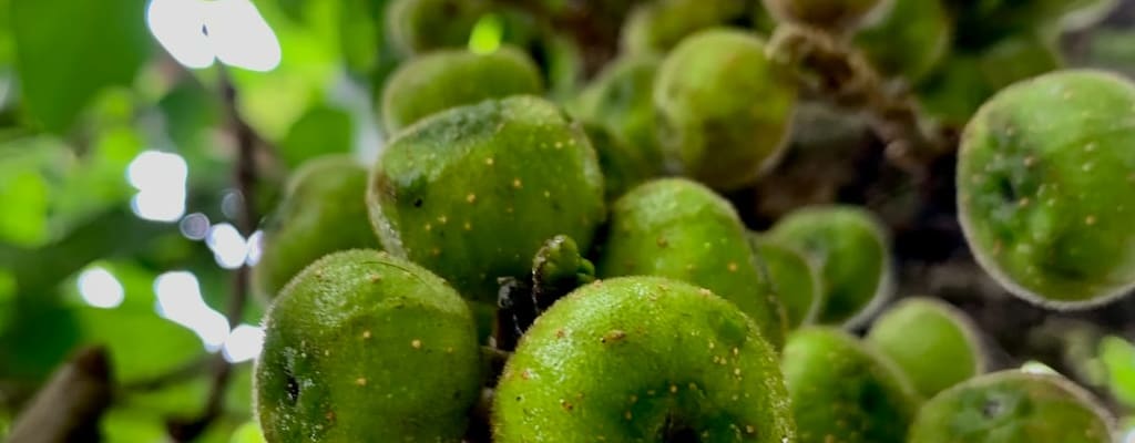 put out: Idiom Meaning and Origin - The Village Idiom