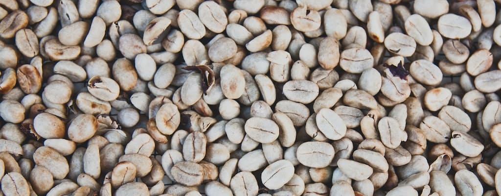 spill the beans: Idiom Meaning and Origin - The Village Idiom