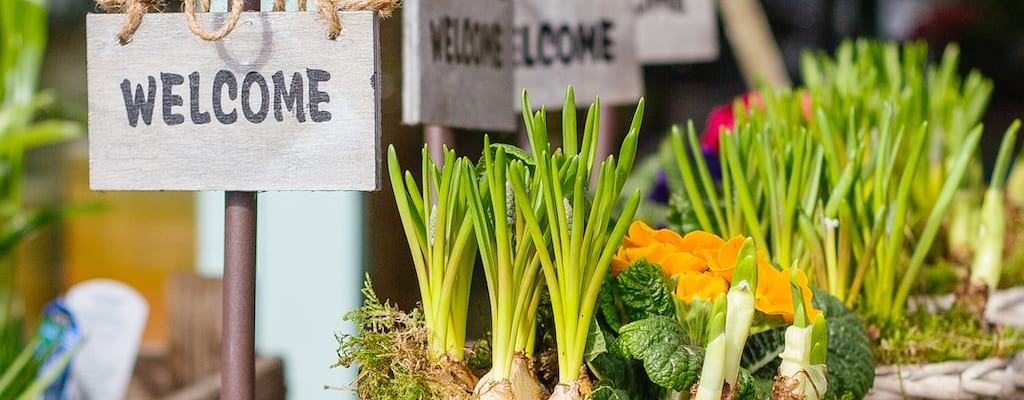 spring in one's step: Idiom Meaning and Origin - The Village Idiom