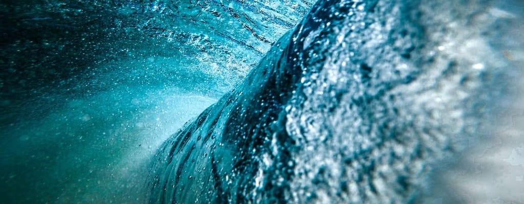 chum in the water: Idiom Meaning and Origin - The Village Idiom