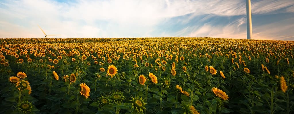 wind down: Idiom Meaning and Origin - The Village Idiom