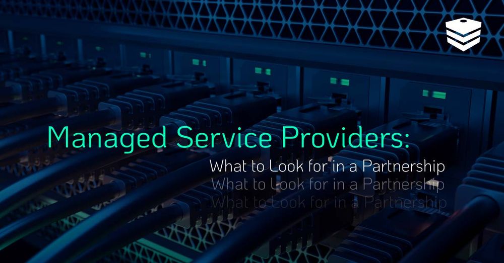 Managed Service Provider (MSP) Partners: What to Expect