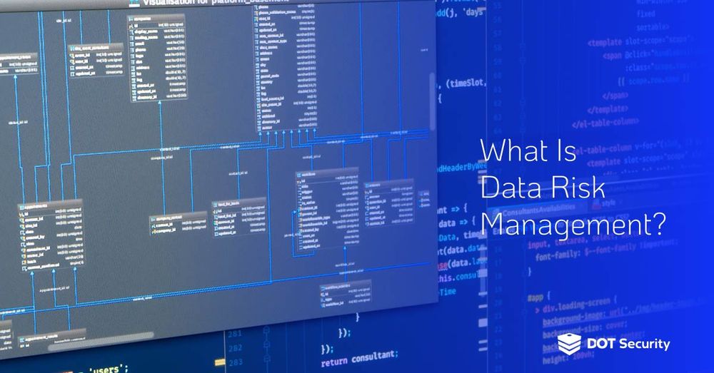What is Data Risk Management?