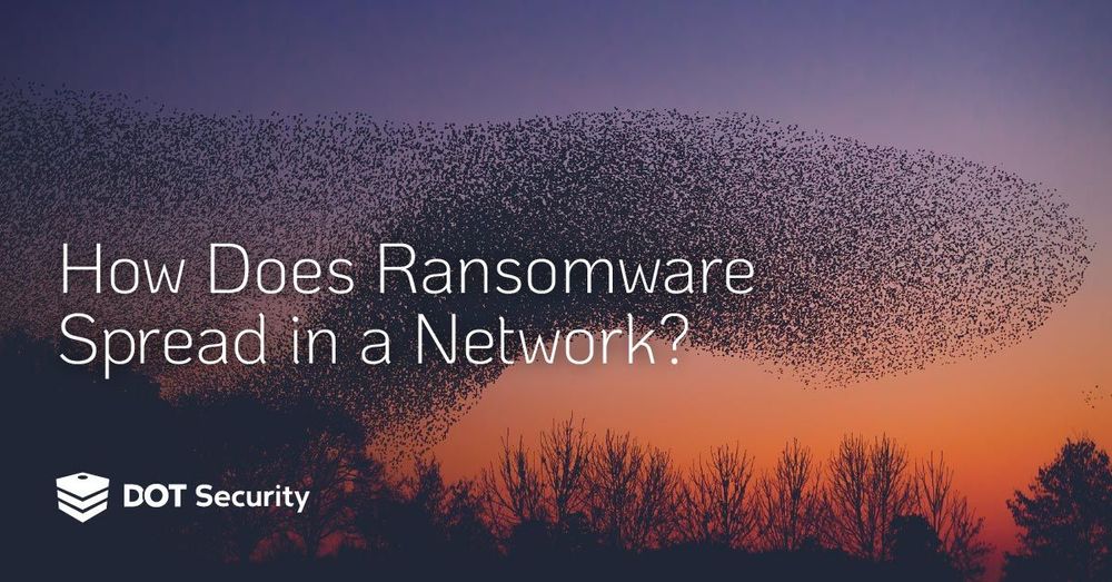 Infographic: How Does Ransomware Spread in a Network?