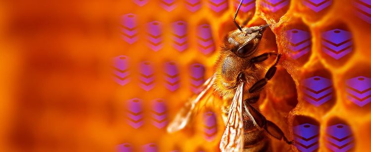 What Does a Cybersecurity Engineer Do?