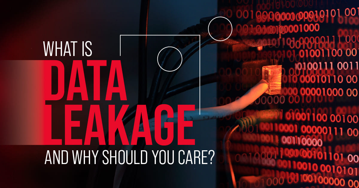 What Is a Data Leak and Why Should You Care?