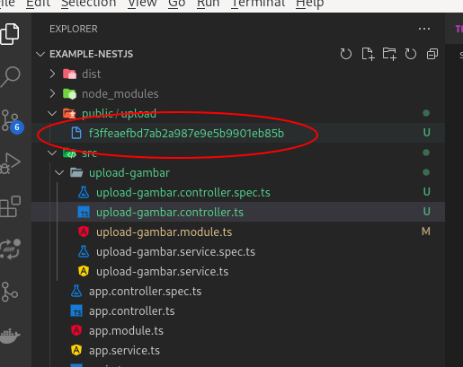 Upload gambar pada Framwork Nest JS