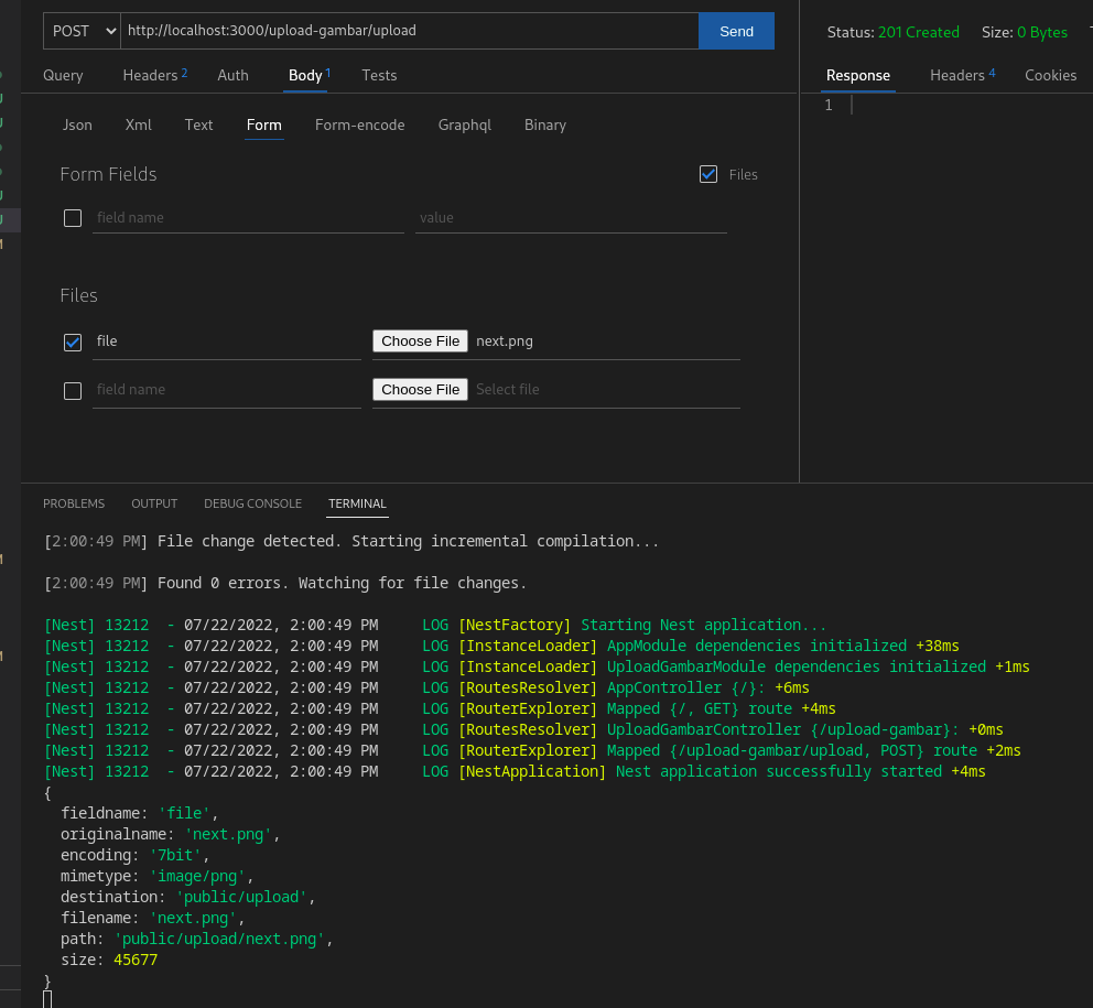 Upload gambar pada Framwork Nest JS