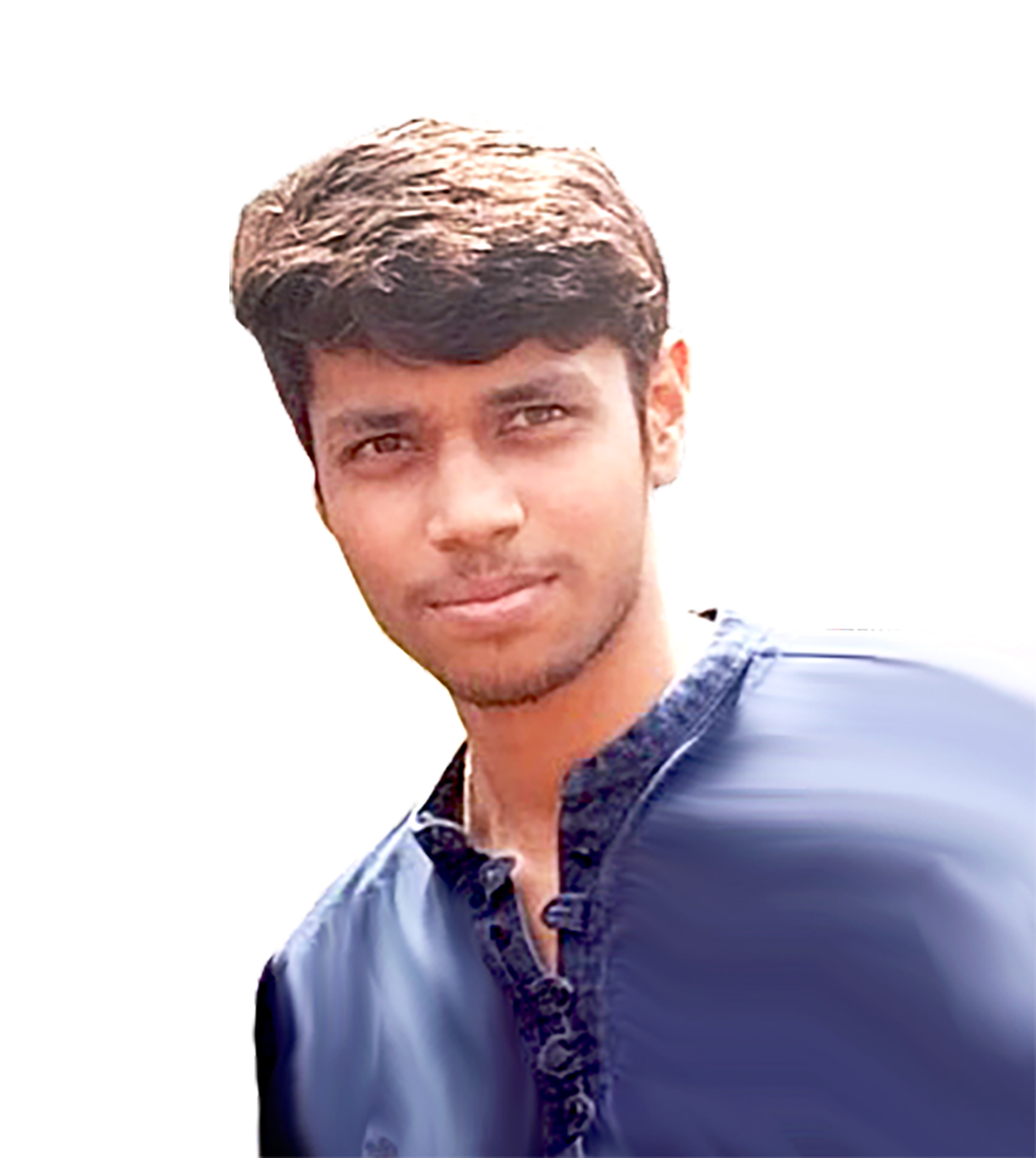 LMS Momentum
